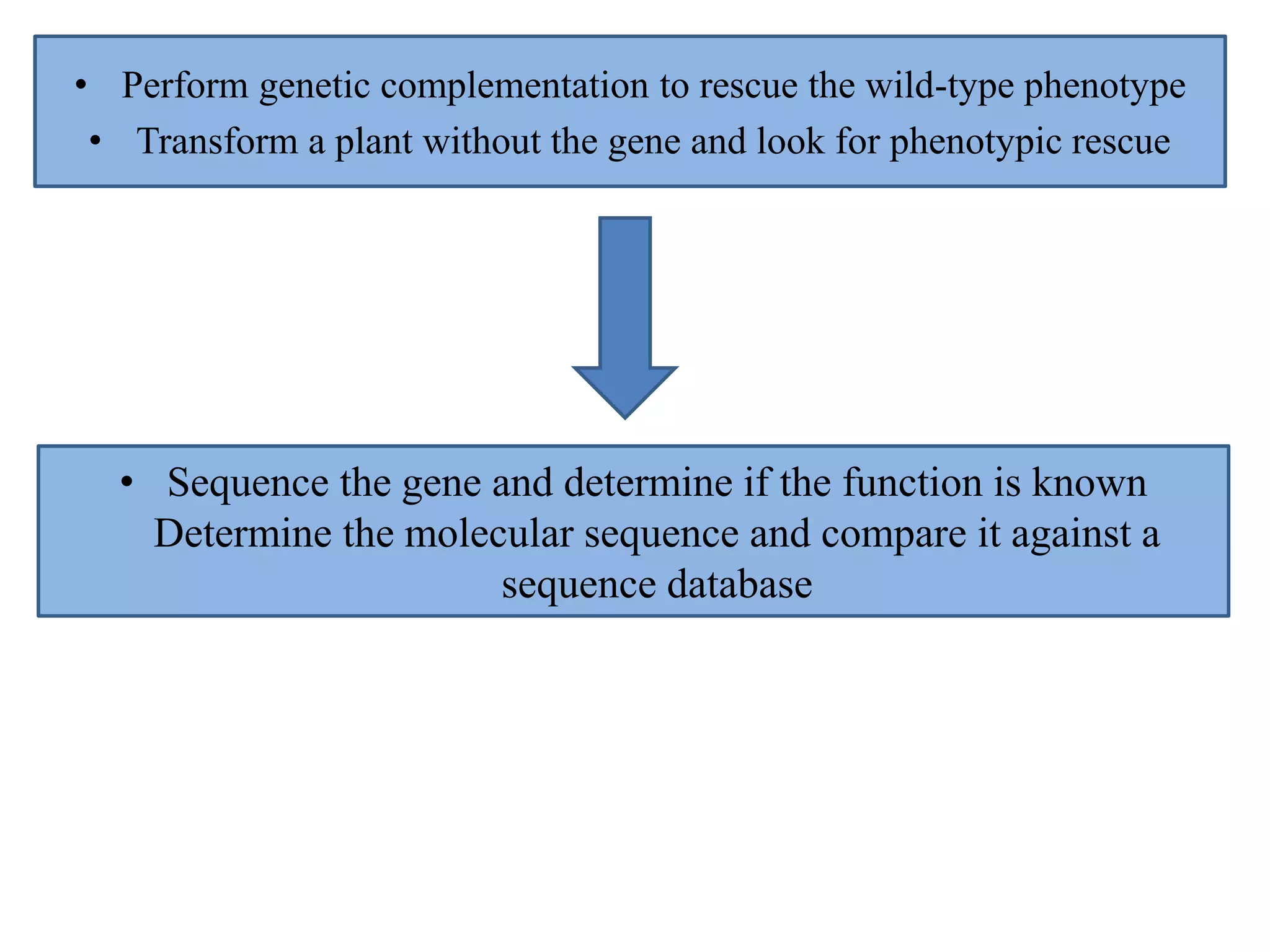 Map Based Cloning.pptx