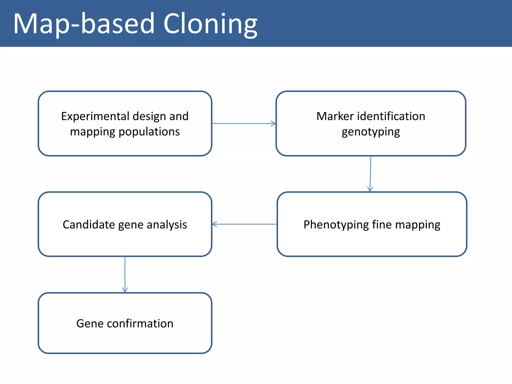 Map Based Cloning.pptx