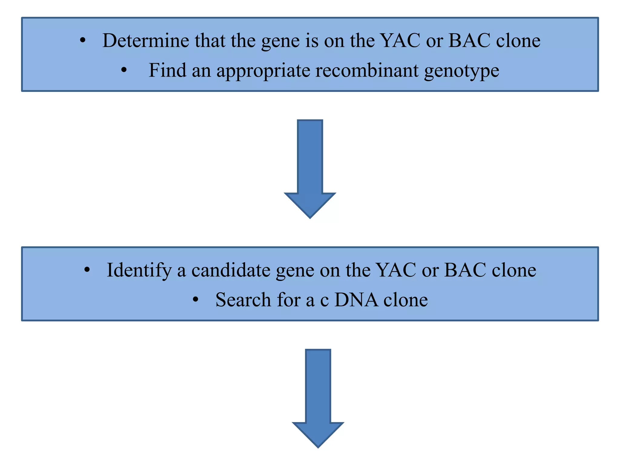 Map Based Cloning.pptx
