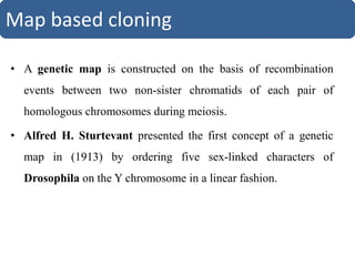 Map Based Cloning.pptx