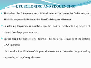 MAP BASED CLONING useful for biotech .pptx