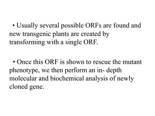 Map based cloning | PPTX