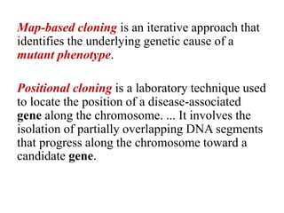 Map based cloning | PPTX