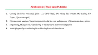 Map based gene cloning in plant.pptx