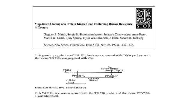 Map based gene cloning in plant.pptx | Genetics | Science