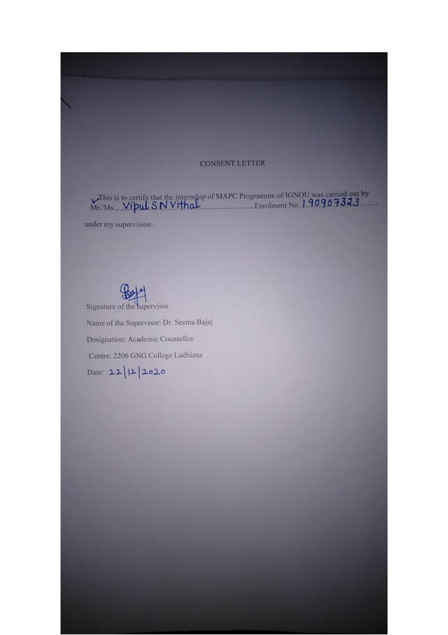 IGNOU Sample Internship File for MPCE015 | PDF