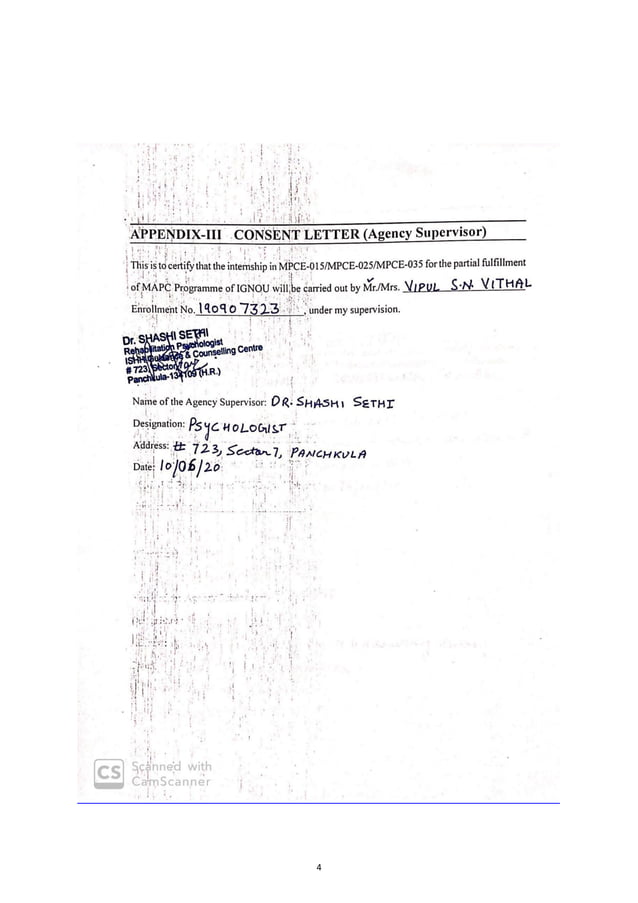 IGNOU Sample Internship File for MPCE015 | PDF