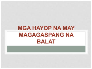 MAPEH- Arts 3- Quarter 2- Pagpipinta ng Hayop | PPTX