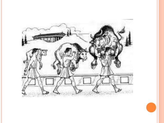 Principles of Physical Activity | PPTX | Running and Jogging | Fitness ...