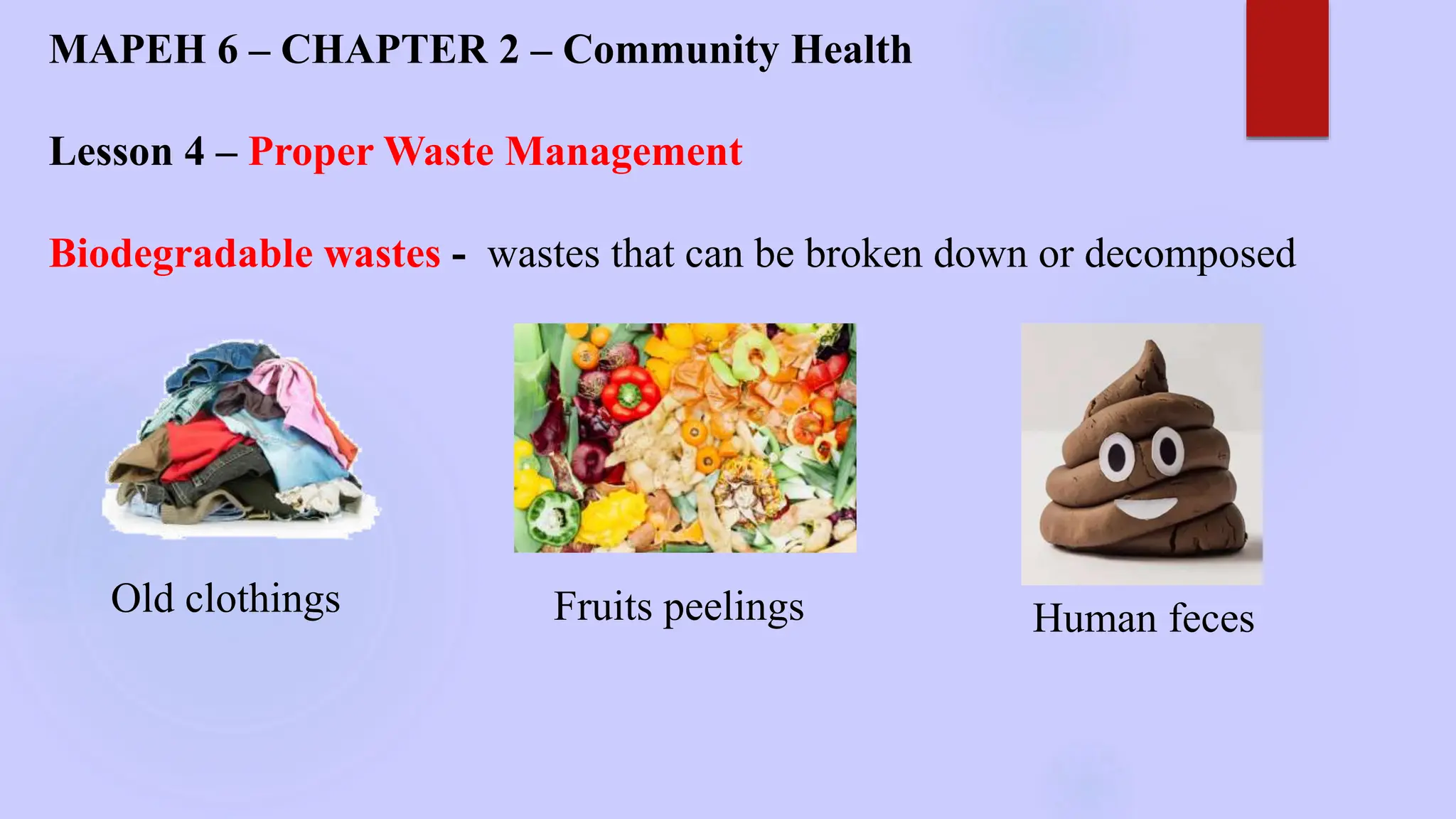 MAPEH 6 - HEALTH - LECTURE 4 grade 6.pptx