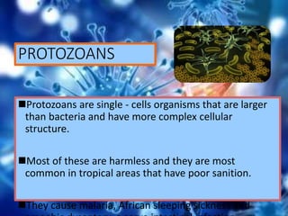 Communicable diseases | PPT