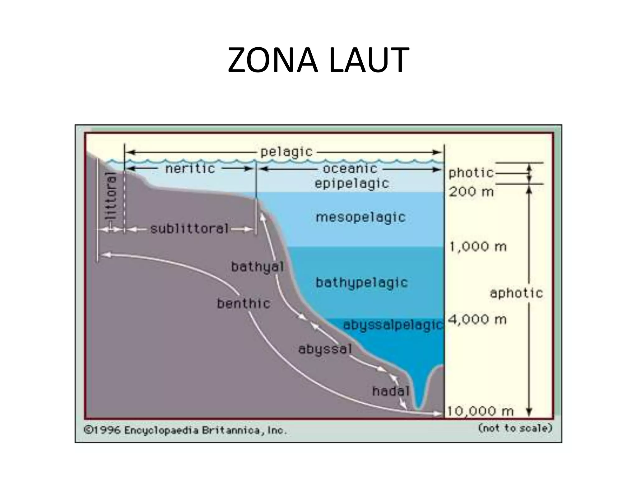 Interpretasi Peta Bentuk Muka Bumi | PPT