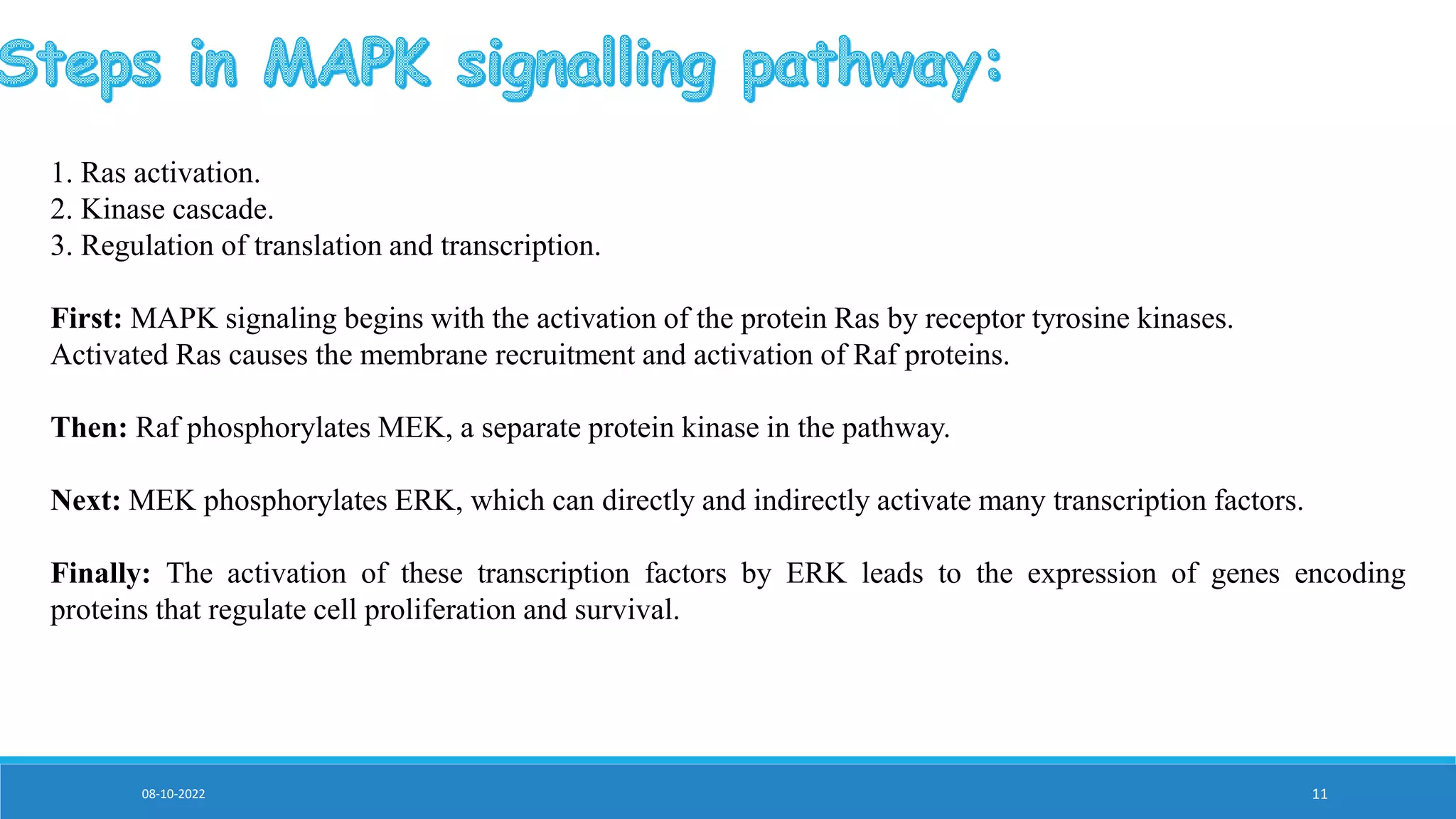 mitogen activated protein kinase.pptx