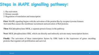 mitogen activated protein kinase.pptx