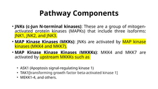 MAPK.pptx PHARMACOLOGY OF GENETICS AND CELL | PPT