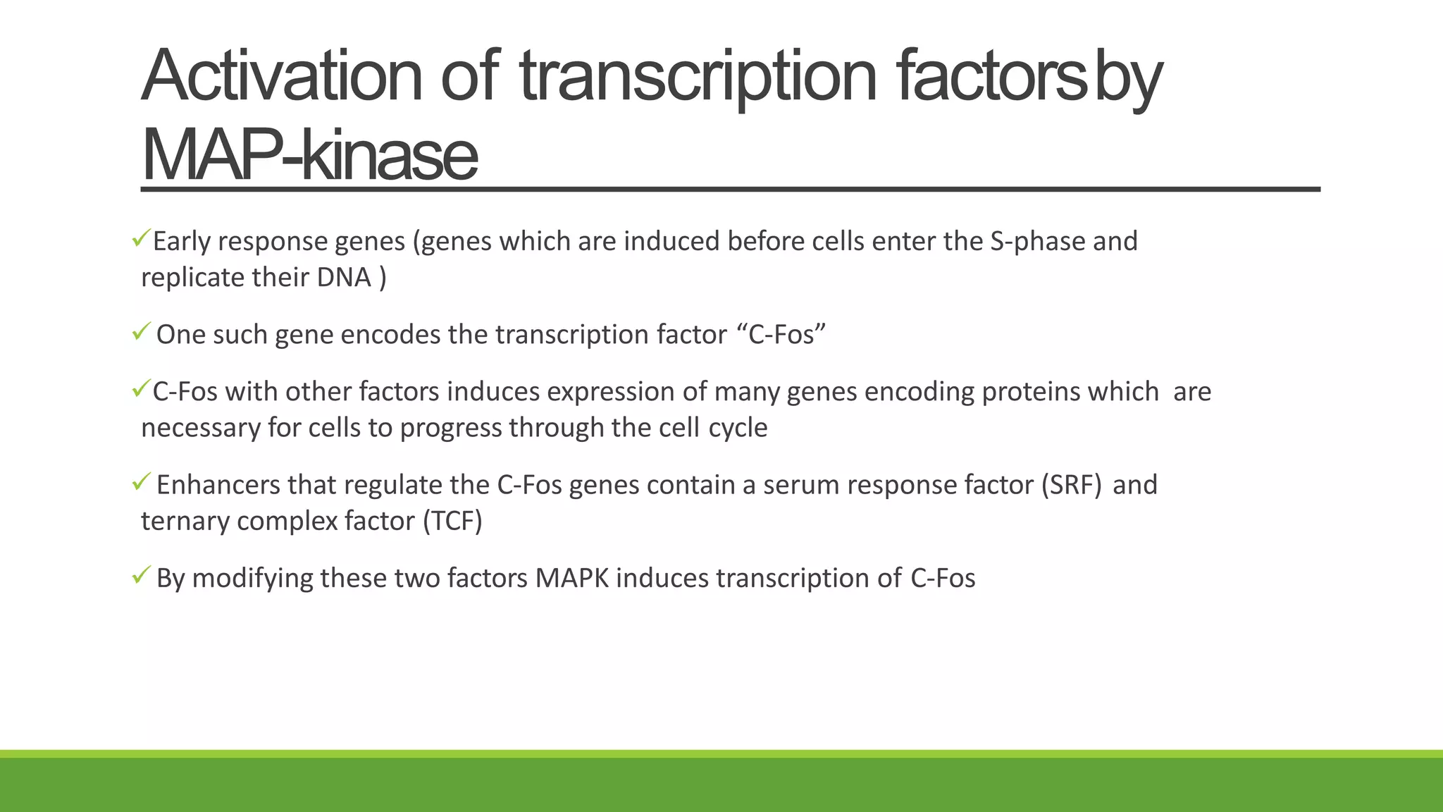Map kinase | PPTX