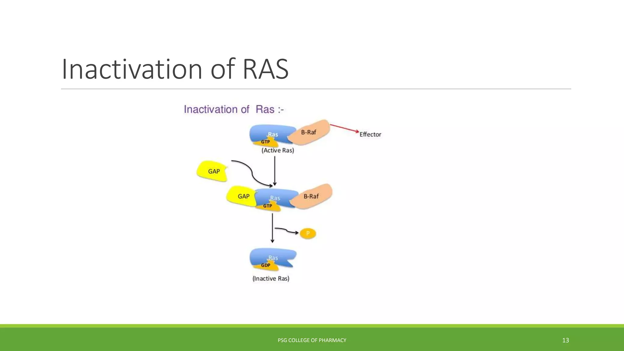 Map kinase and jak stat pathway | PPTX