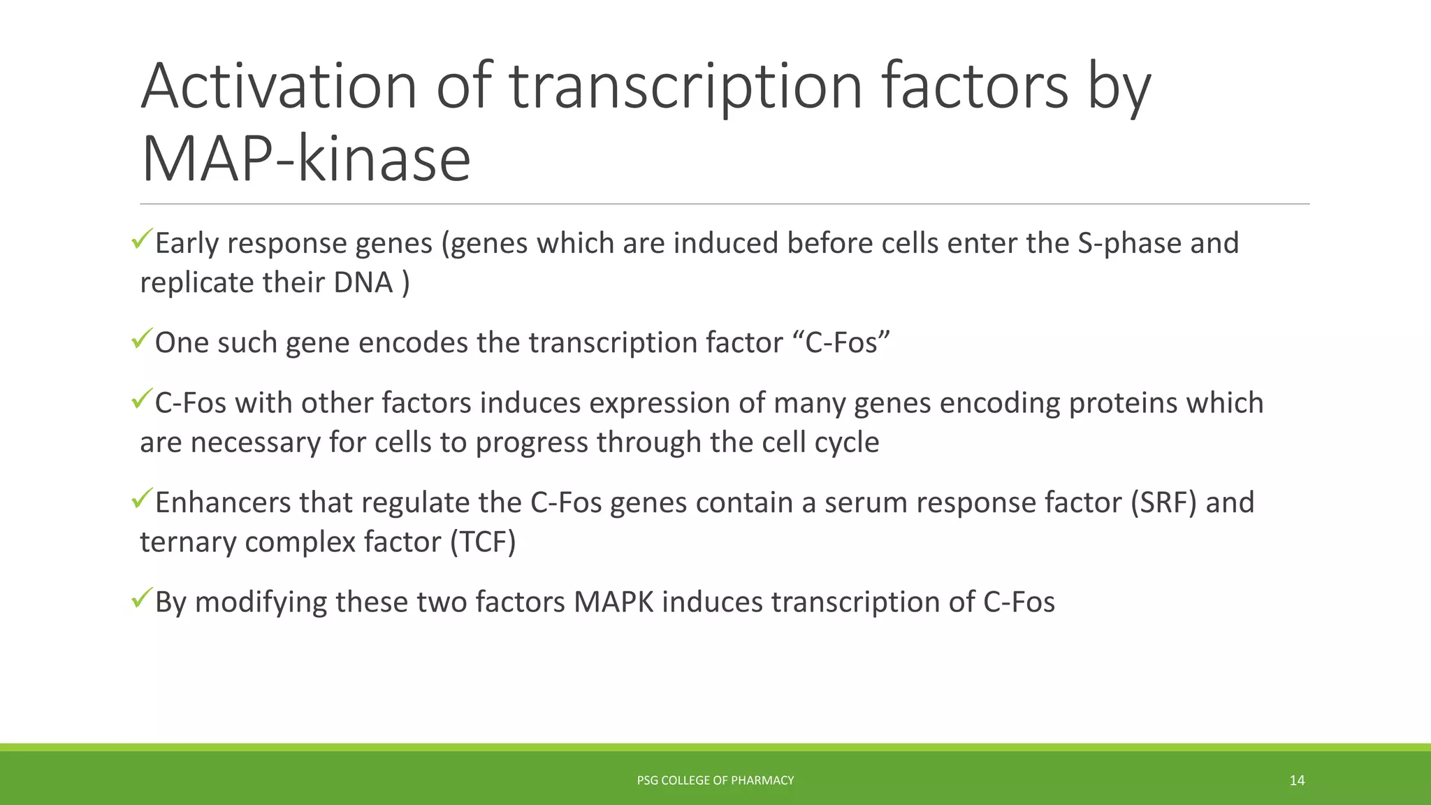 Map kinase and jak stat pathway | PPTX