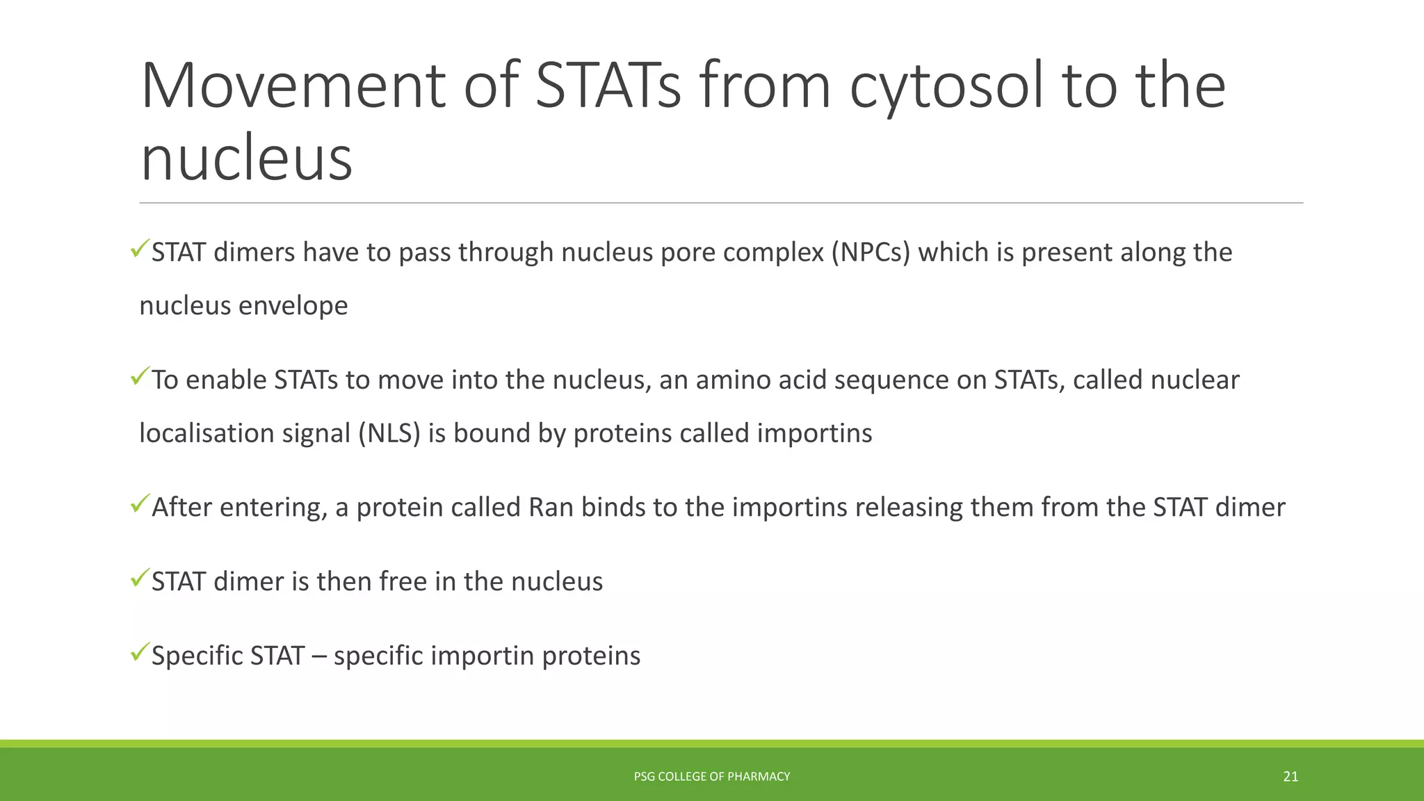 Map kinase and jak stat pathway | PPTX