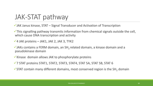 Map kinase and jak stat pathway | PPTX