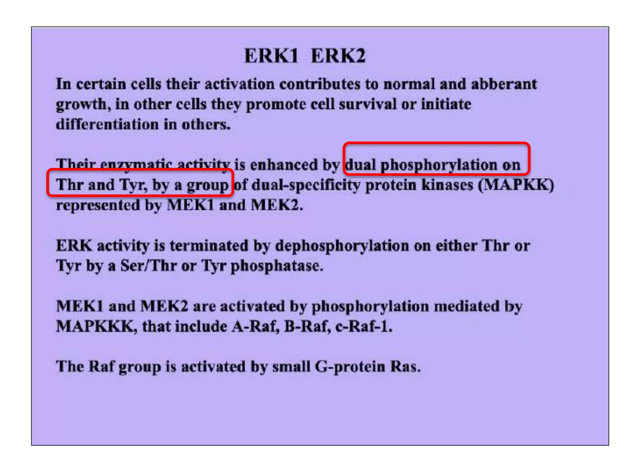 MAPK pathway, | PPTX