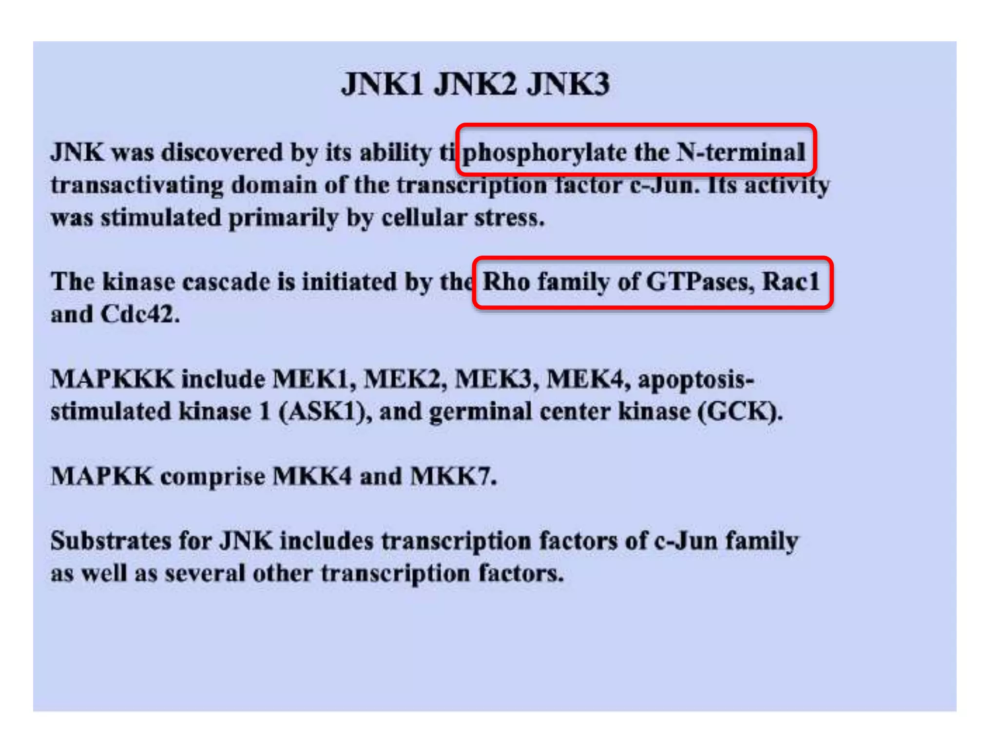 MAPK pathway, | PPTX