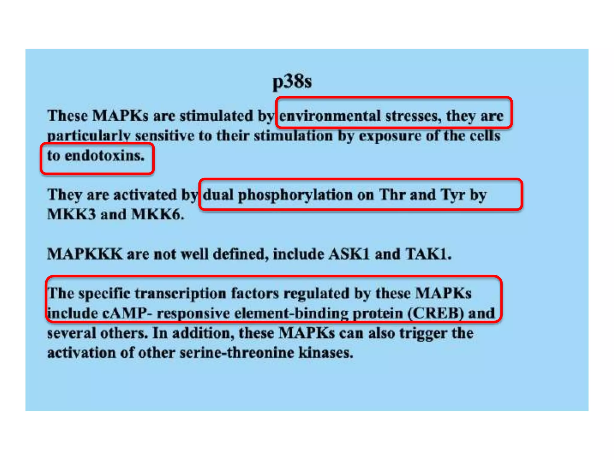 MAPK pathway, | PPTX