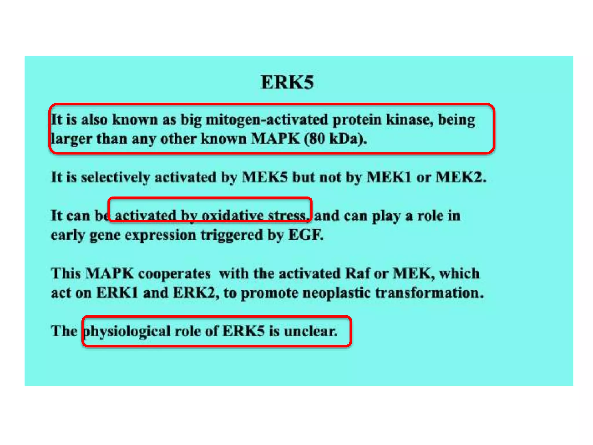 MAPK pathway, | PPTX