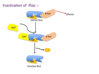 MAPK pathway, | PPTX
