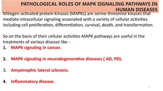 MAPK pathway Advanced pharmacology ( M . PHARM ).pptx