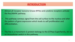 MAPK pathway Advanced pharmacology ( M . PHARM ).pptx