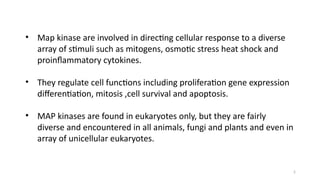 MAPK pathway Advanced pharmacology ( M . PHARM ).pptx