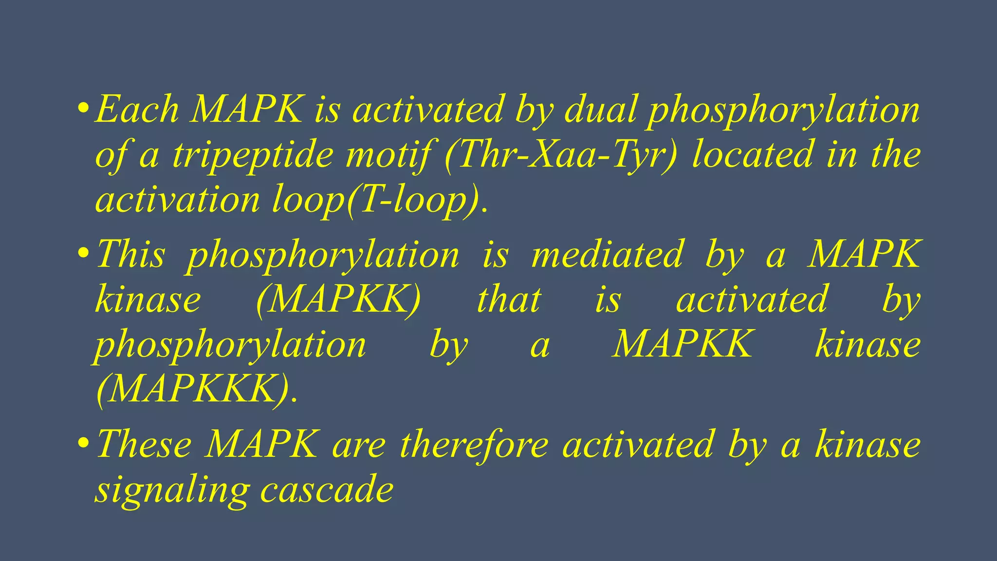 Mapk pathways | PPTX