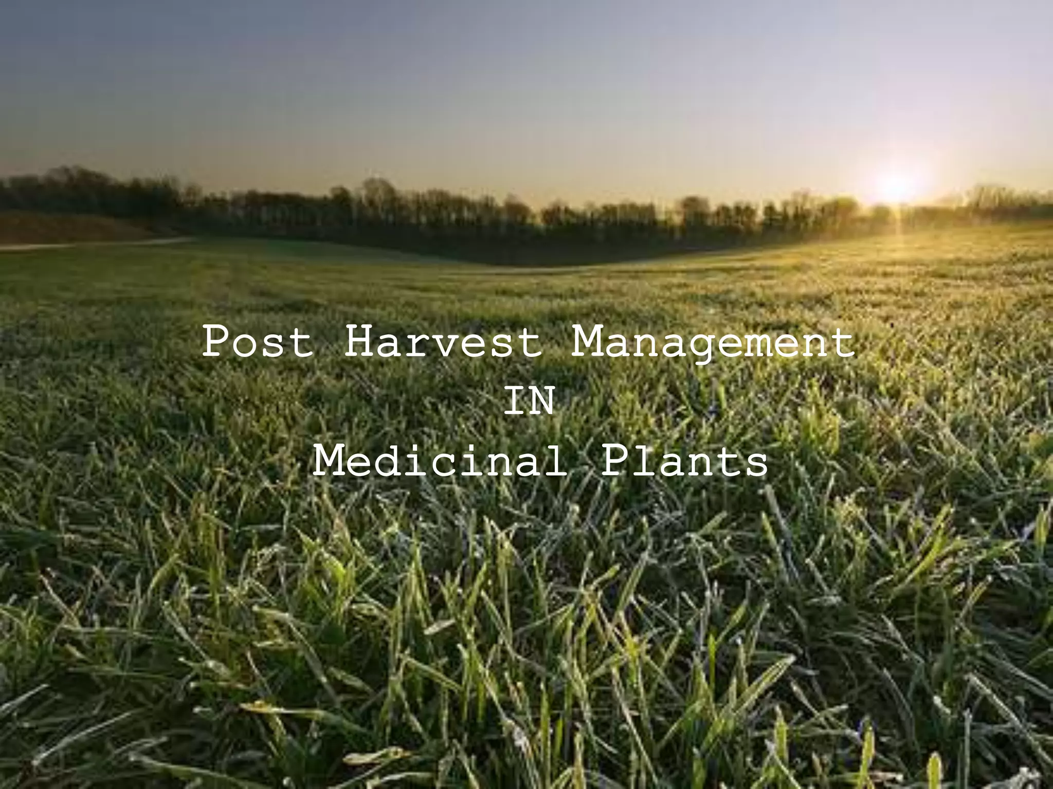 POST-HARVEST MANAGEMENT OF MEDICINAL AND AROMATIC PLANTS | PPTX