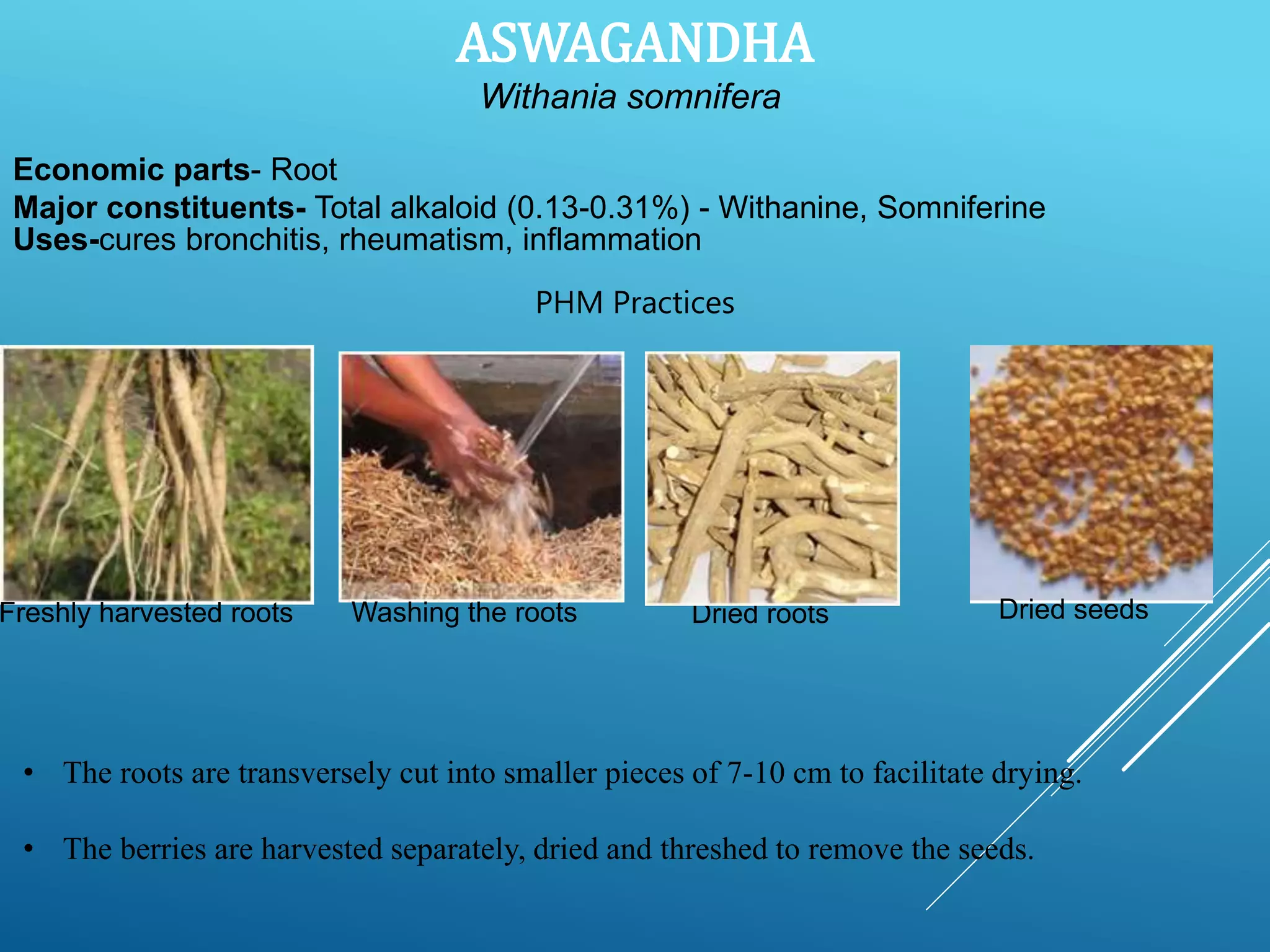 POST-HARVEST MANAGEMENT OF MEDICINAL AND AROMATIC PLANTS | PPTX