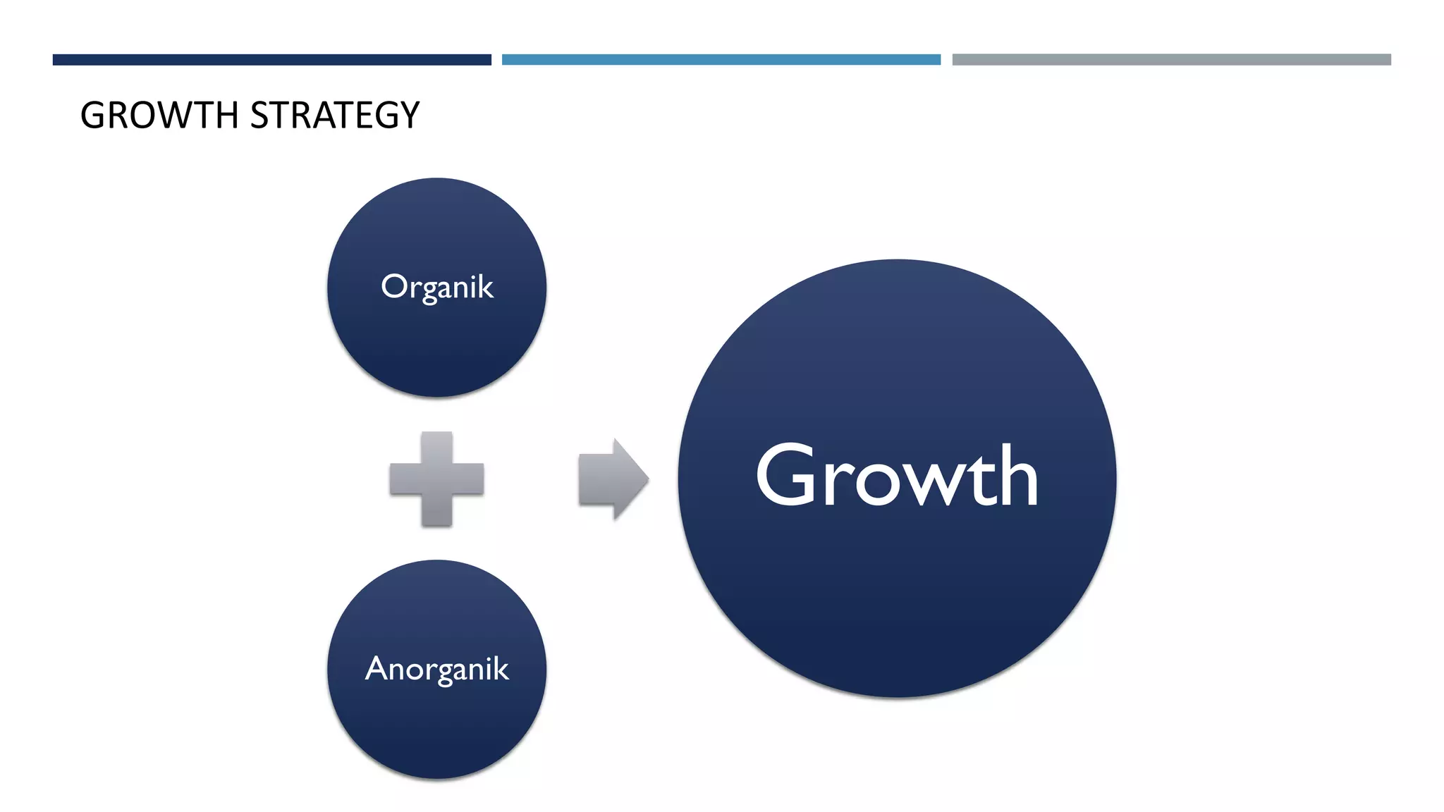 Merger and Acquisition Playbook | PDF