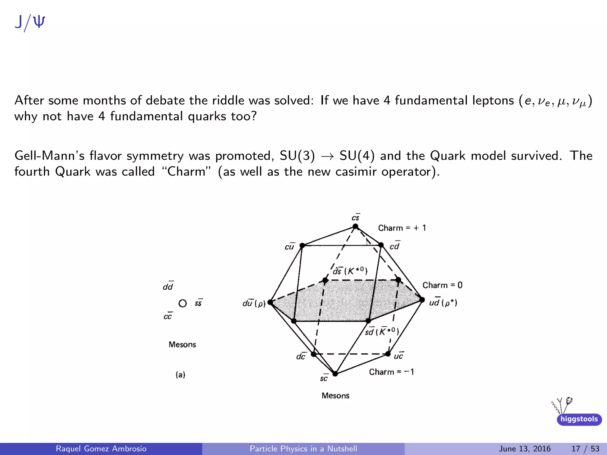 Particle Physics in a nutshell | PDF
