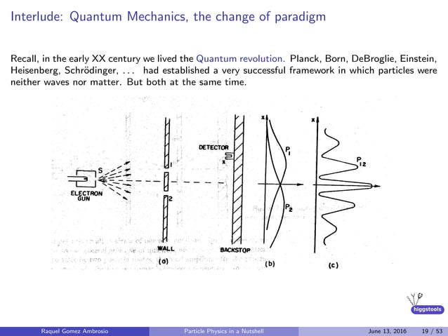 Particle Physics in a nutshell | PDF | Physics | Science