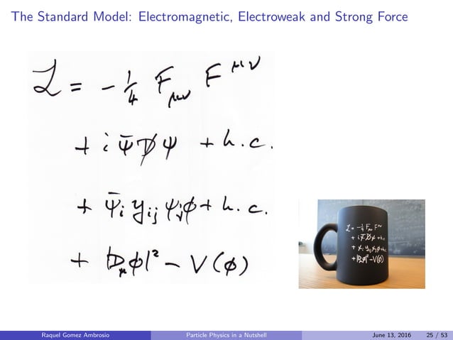 Particle Physics in a nutshell | PDF | Physics | Science