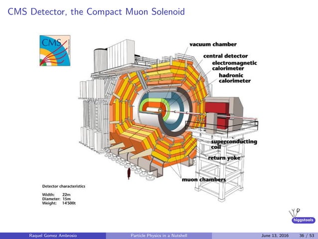 Particle Physics in a nutshell | PDF | Physics | Science