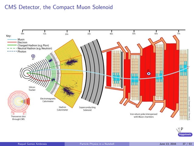 Particle Physics in a nutshell | PDF | Physics | Science