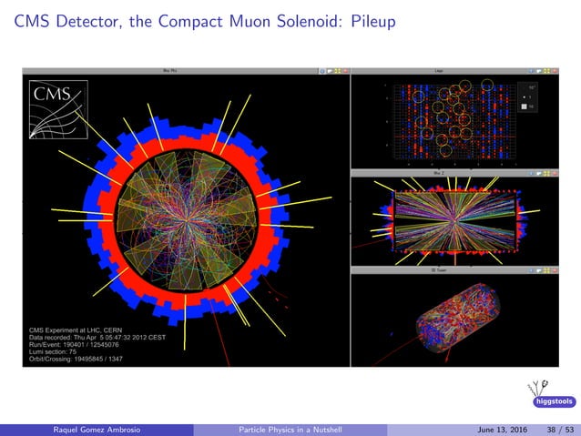 Particle Physics in a nutshell | PDF | Physics | Science