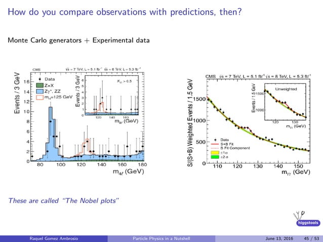 Particle Physics in a nutshell | PDF | Physics | Science
