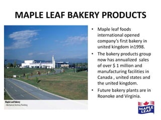 Maple leaf | PPTX