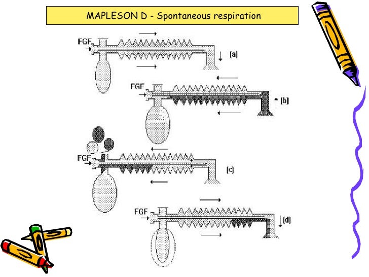 Mapleson breathing systems