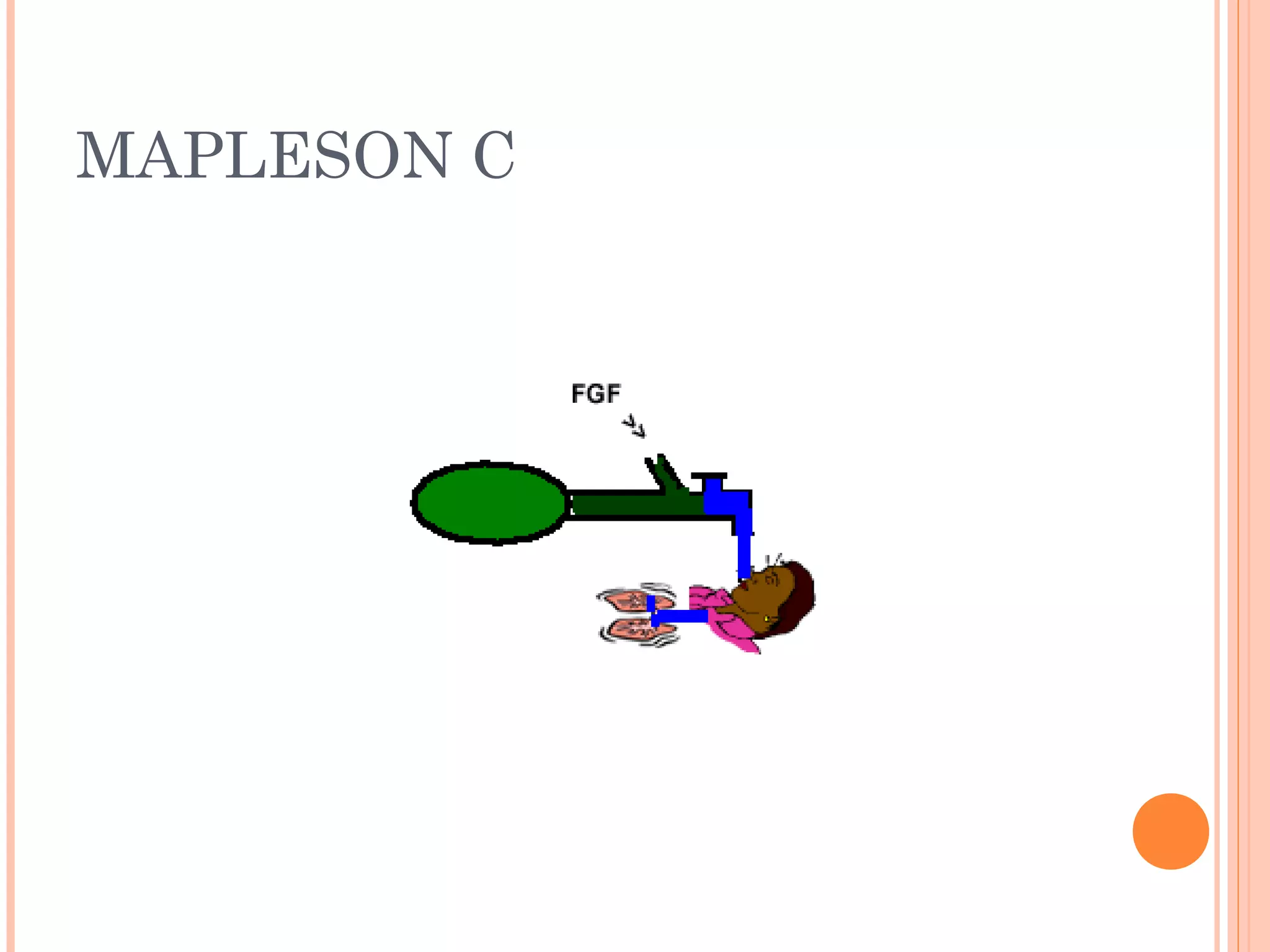 Mapleson circuits | PPT