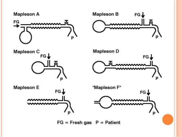 Mapleson circuits