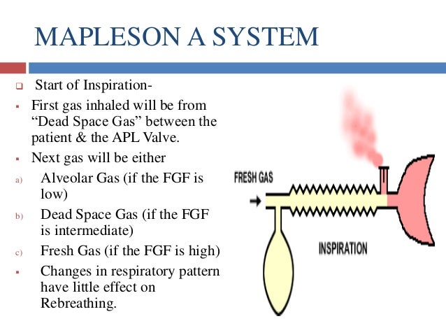 Mapleson system