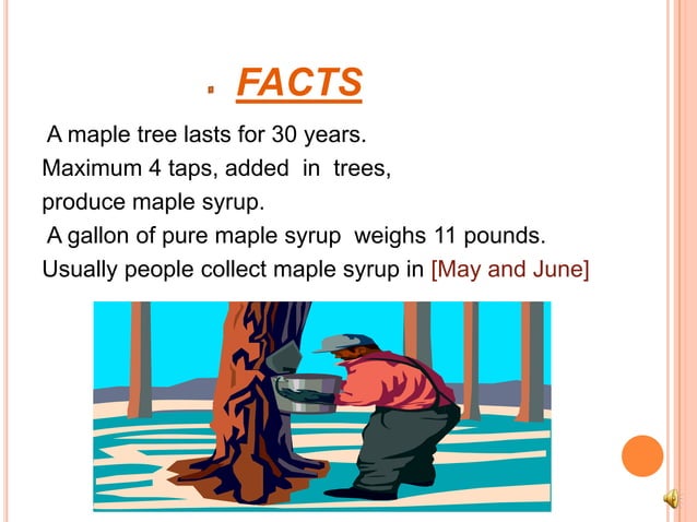 Maple syrup copy (2) | PPTX | Woodworking | Arts and Crafts