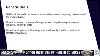 MAPLE SYRUP DISEASE a metabolic disorder.pptx
